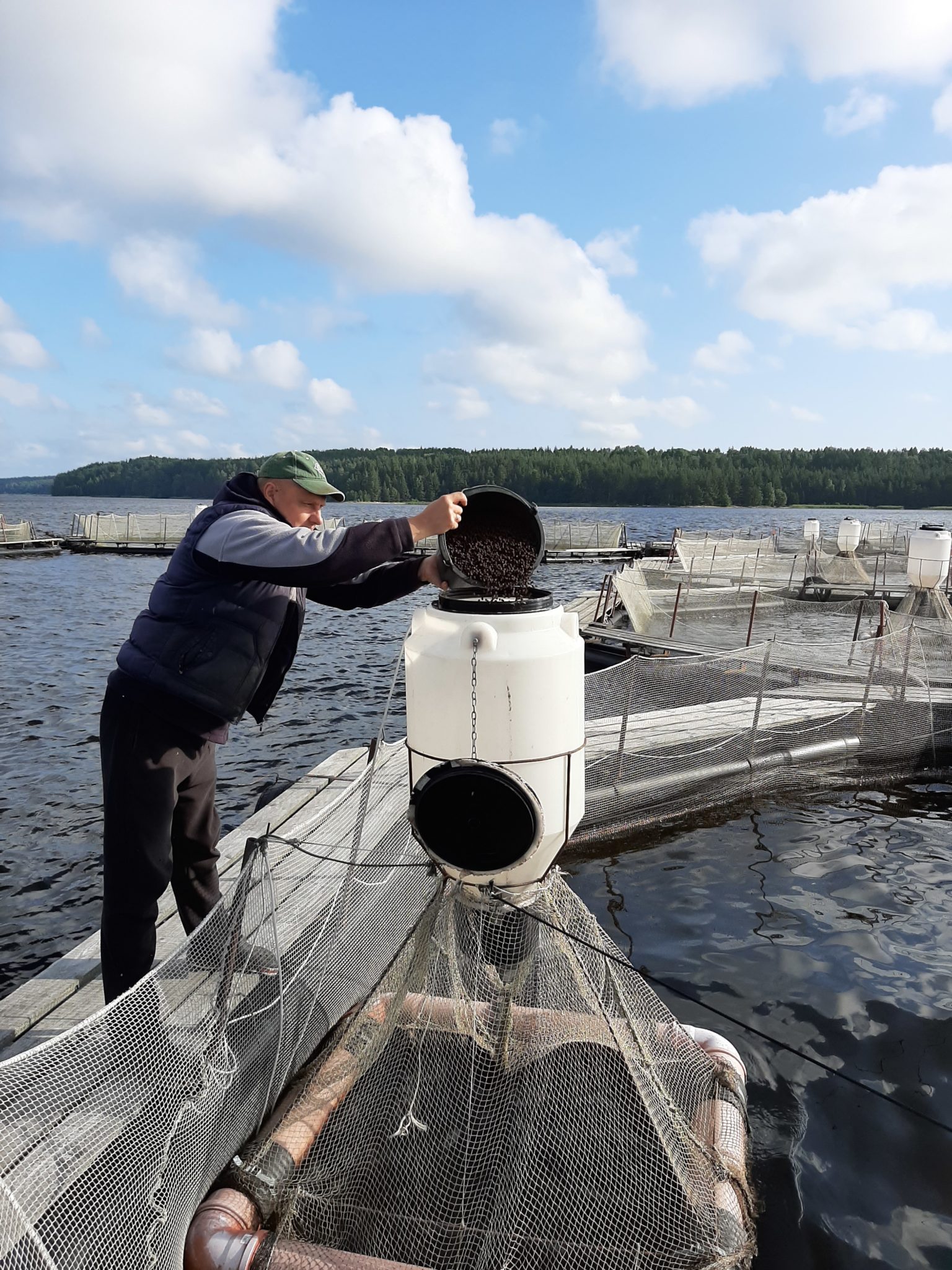 Feeding trials by the Berg Institute – ARCTAQUA